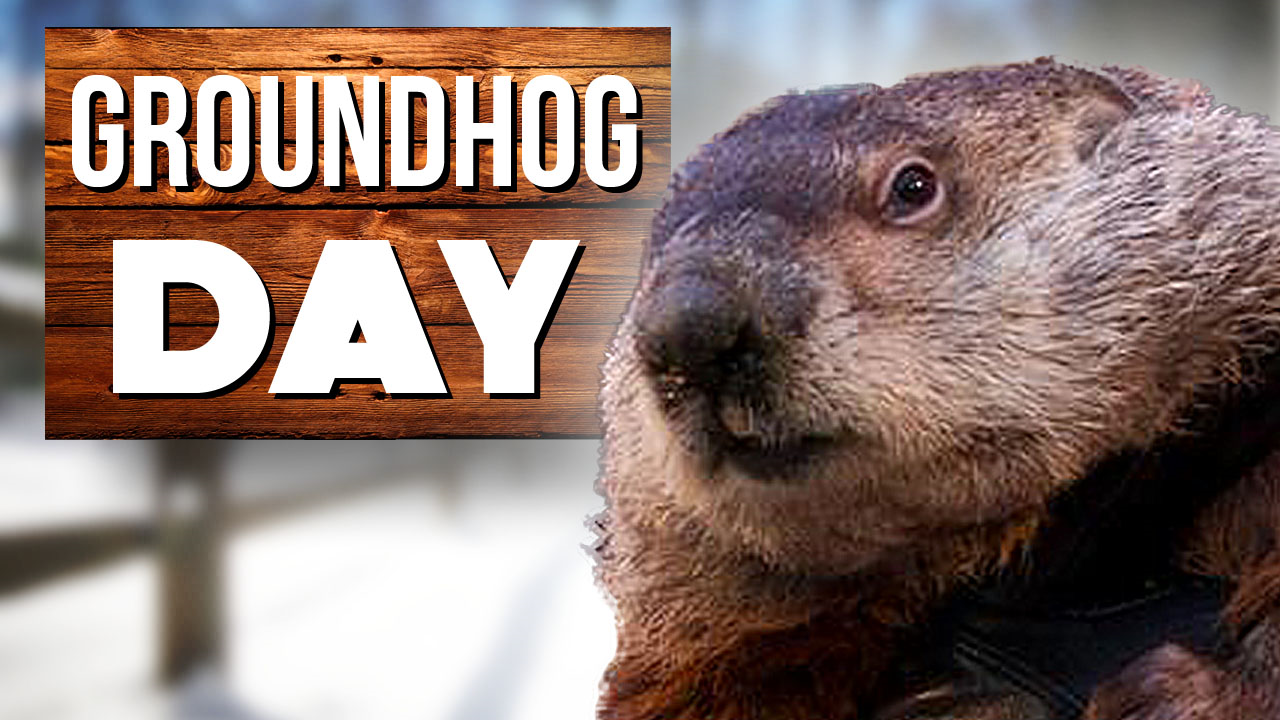Dunkirk Dave, Punxsutawney Phil Call For An Early Spring – WNY News Now