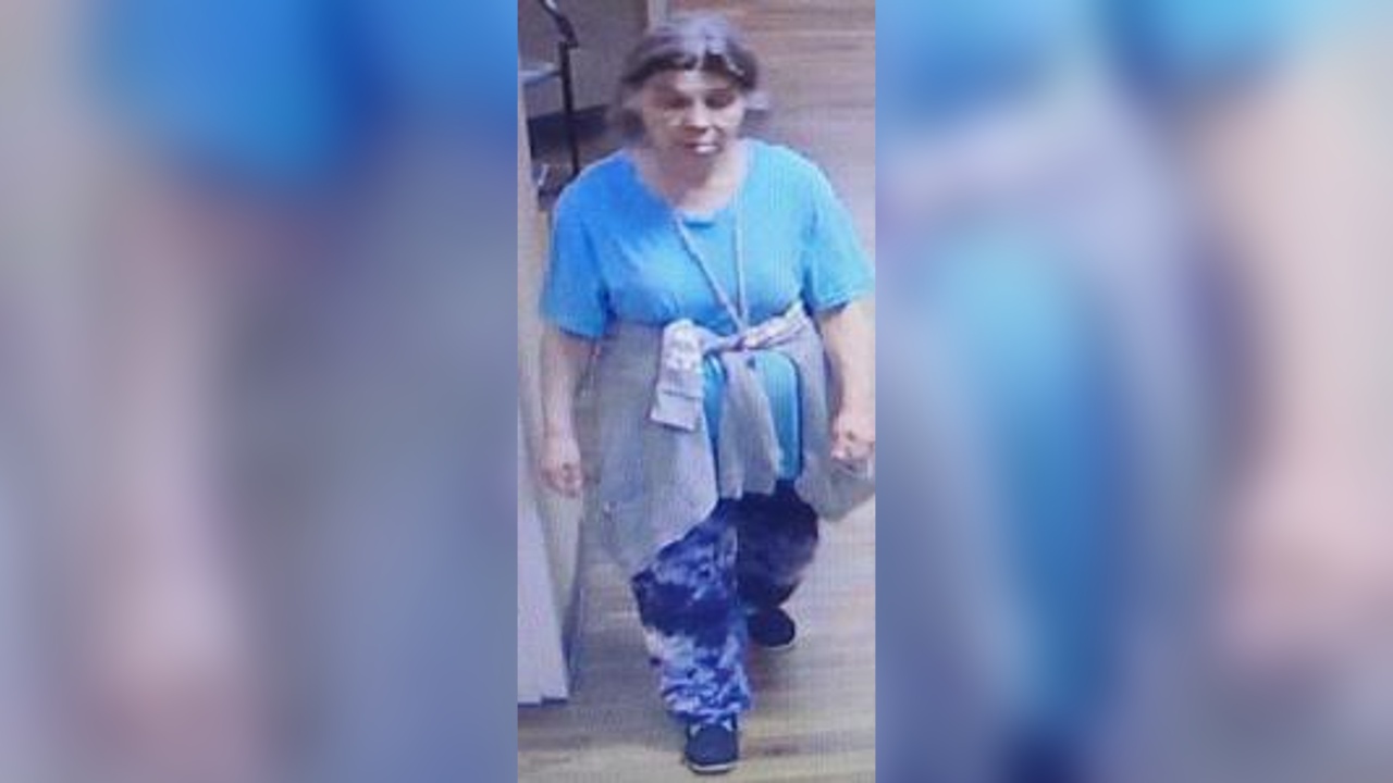 Search For Missing Woman With Dementia Underway In Chautauqua County ...