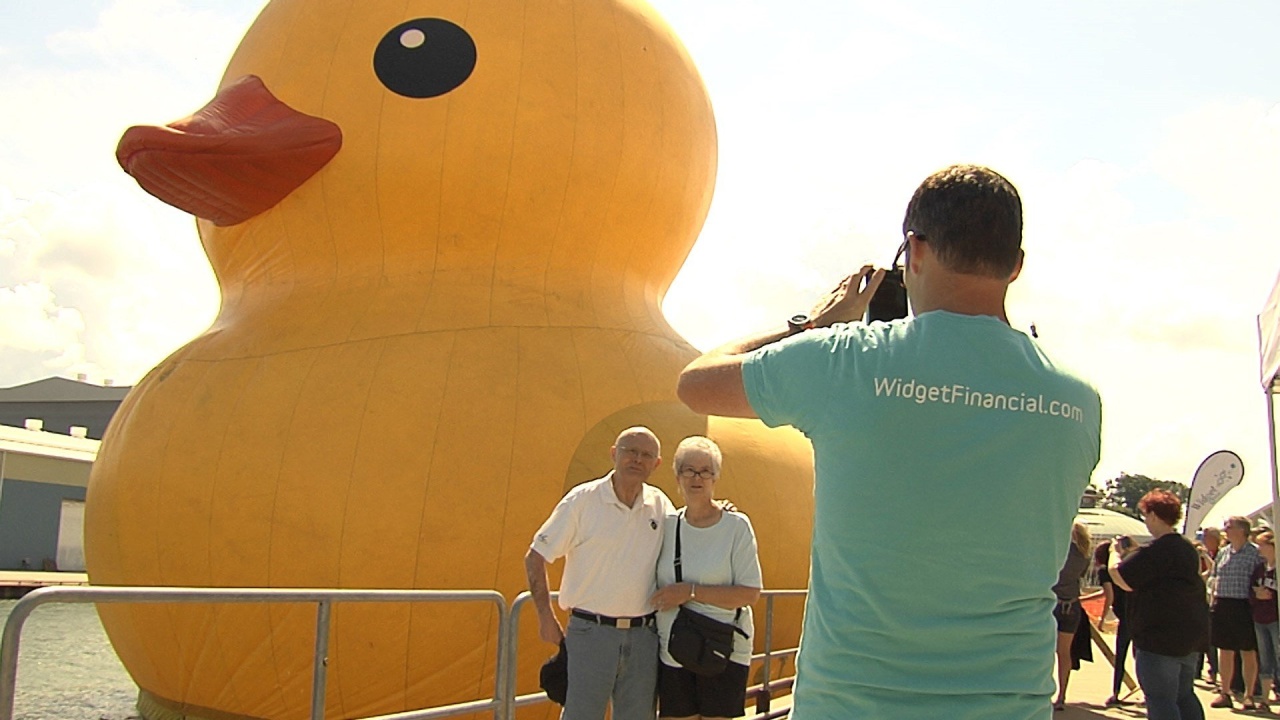 Creator Of World's Largest Duck, Duckling Shares What Makes Them So ...