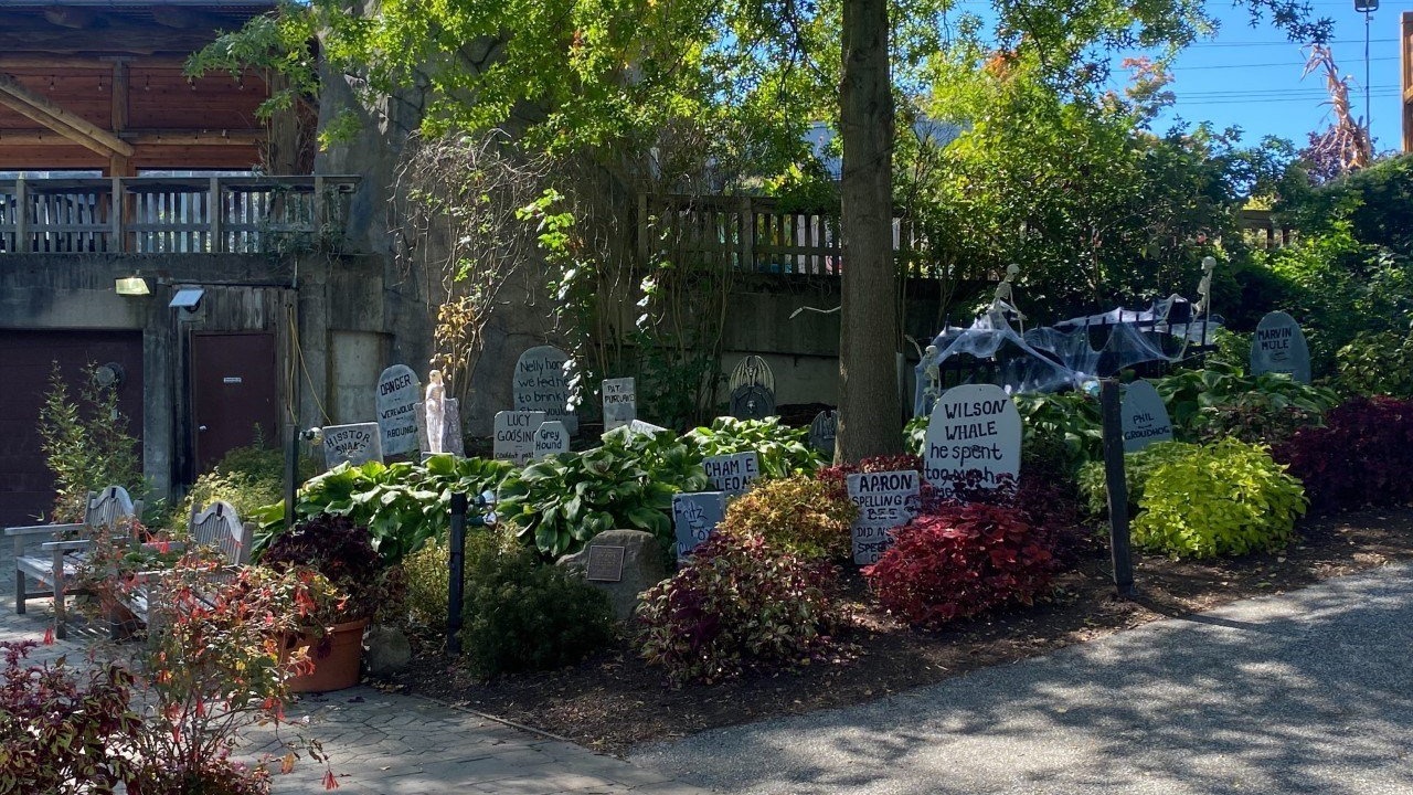 Erie Zoo Prepares for Zoo Boo and Winter Hibernation – WNY News Now