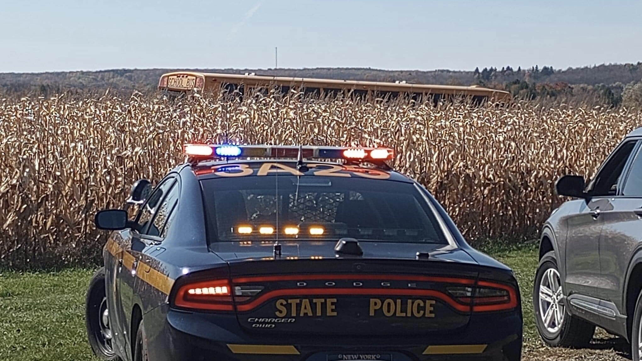 School Bus Crashes Into Corn Field In Chautauqua County – WNY News Now