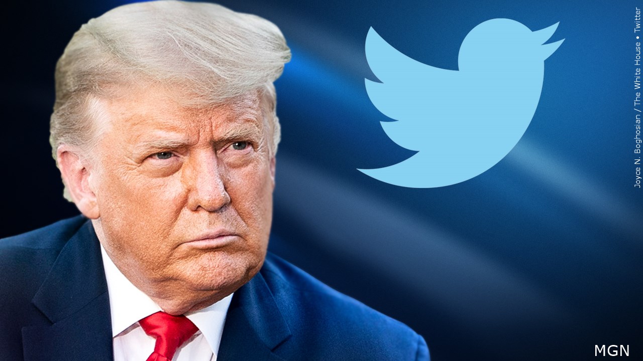 Donald Trump’s Twitter Account Is Reinstated – WNY News Now