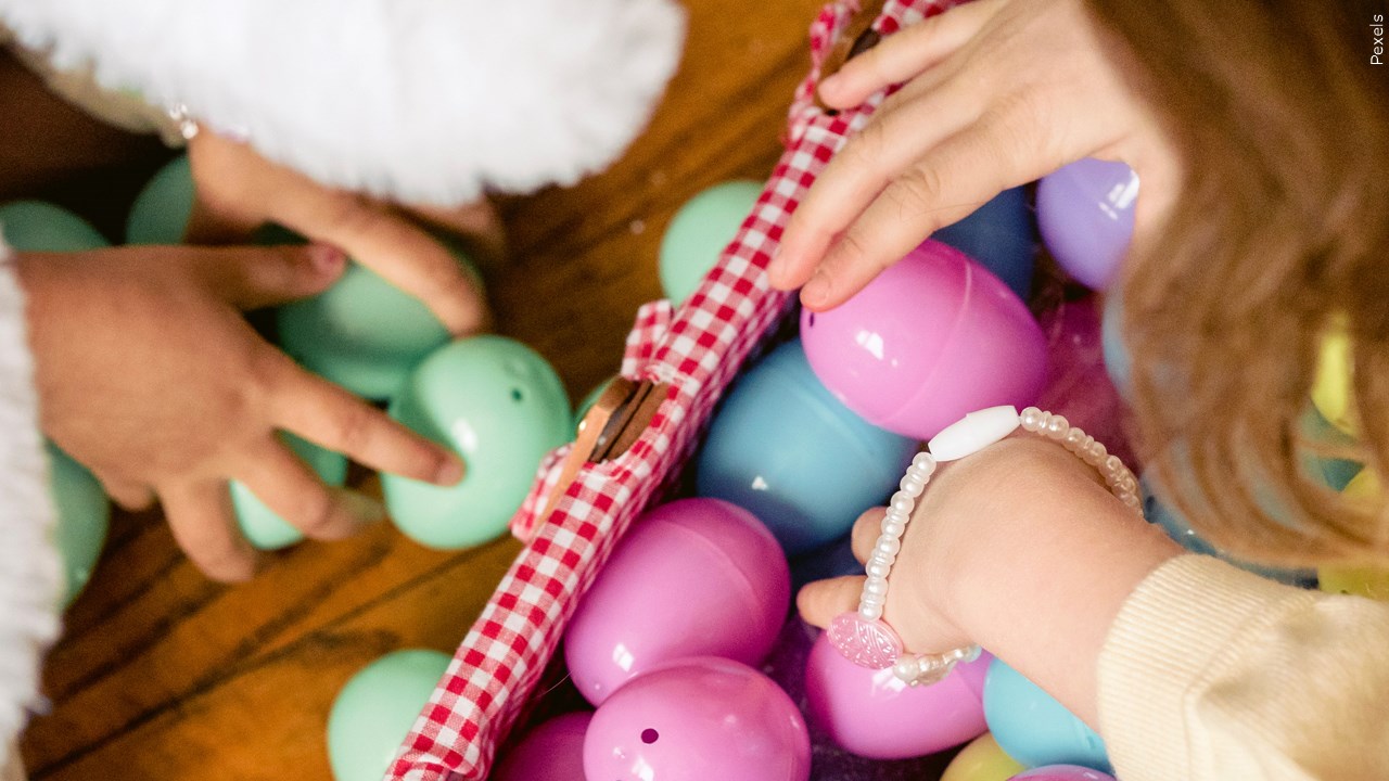 Tarp Skunks Reveal Team Colors – WNY News Now