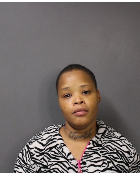 TWO DEFENDANTS PLEAD GUILTY FOR TRESPASSING IN LOOTED STORE – WNY News Now